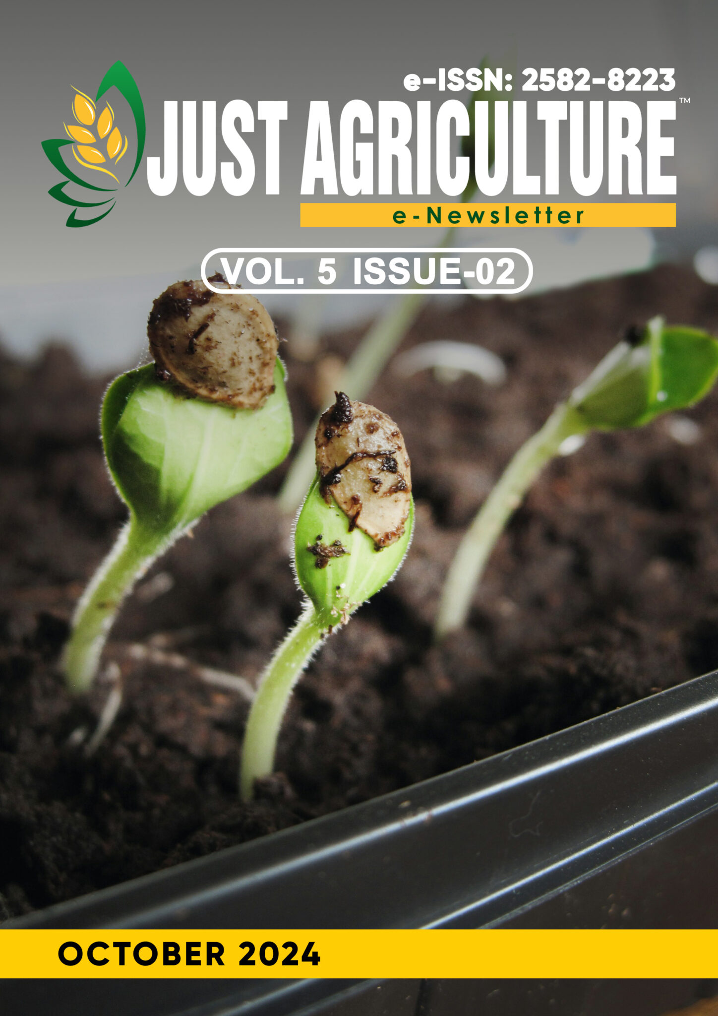 October 2024 newsletter – Just Agriculture