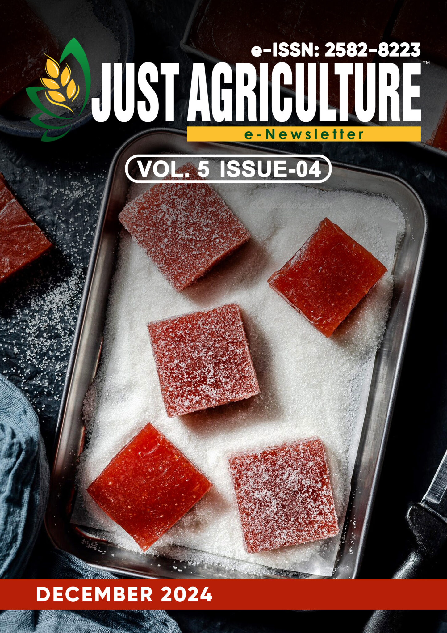 December 2024 – Newsletter – Just Agriculture